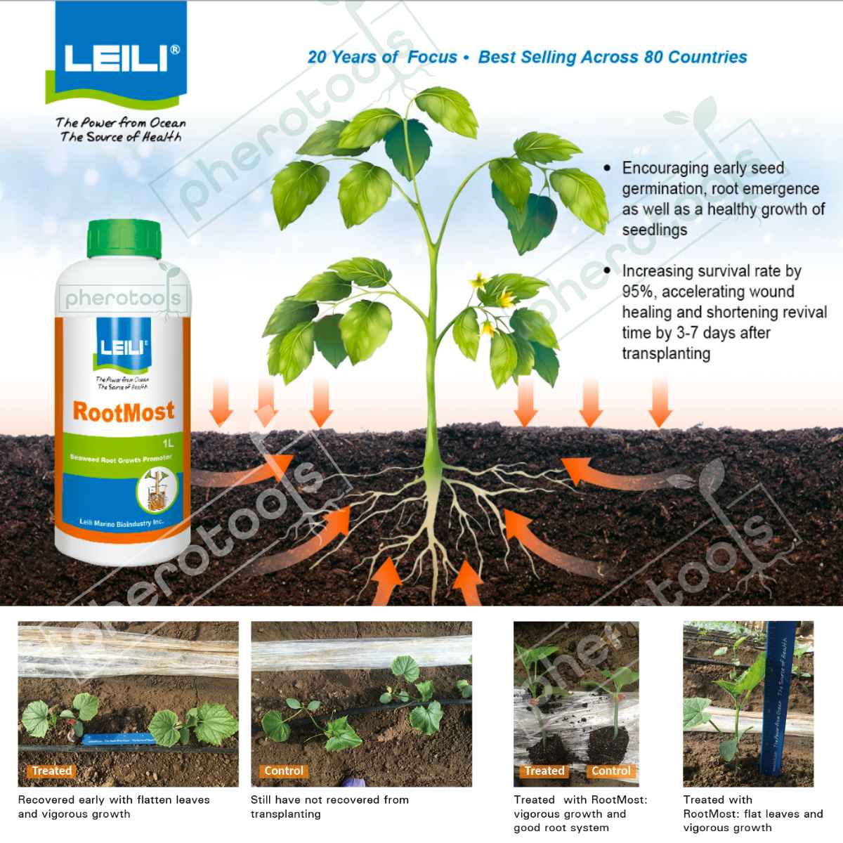 5L RootMost LEILI Seaweed Fertilizer Root Growth Promoter - stronger ...