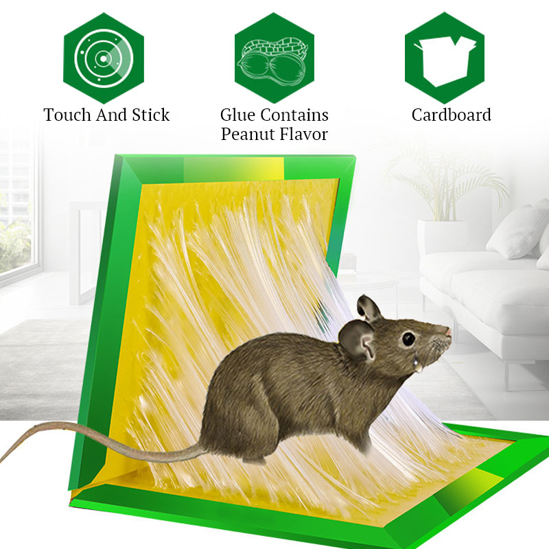 𝗦𝗔𝗠𝗘 𝗗𝗔𝗬 𝗣𝗢𝗦𝗧 》Super Glue Mouse Sticky Card Trap Rat Mice Catcher Board ...