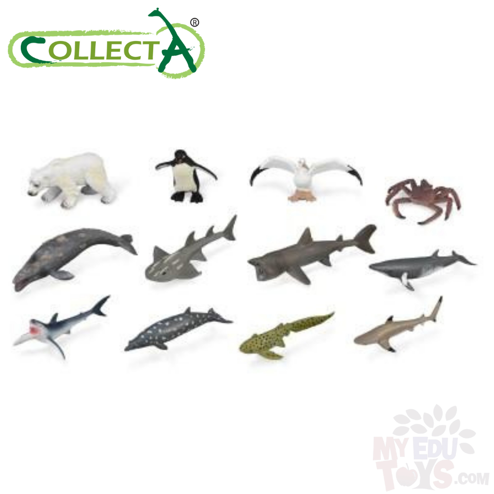 CollectA Box A1211 - 12PCS Of Mini Sea Animals Set 3 - Mini Action ...