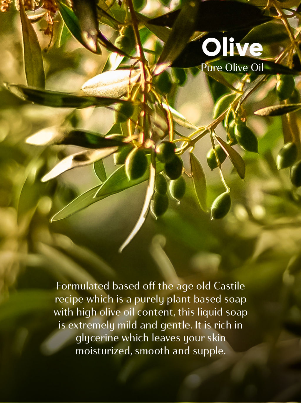 The Olive Tree Pure Liquid Castile Soap / Sabun Mandi Castile (500ml ...