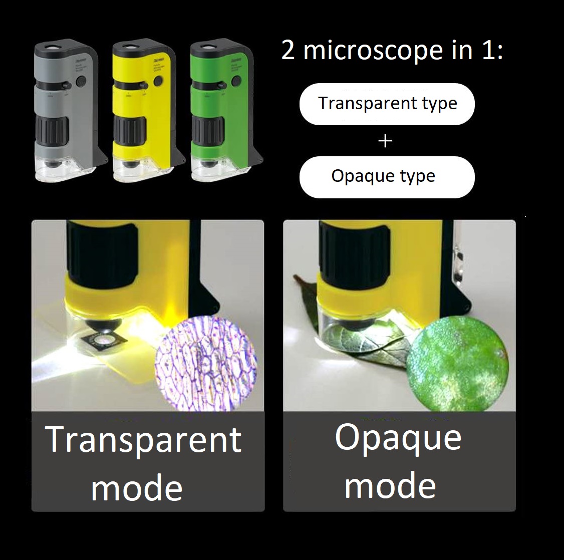 Raymay Fujii Handheld Microscope RXT300M Handy Portable Science Student ...
