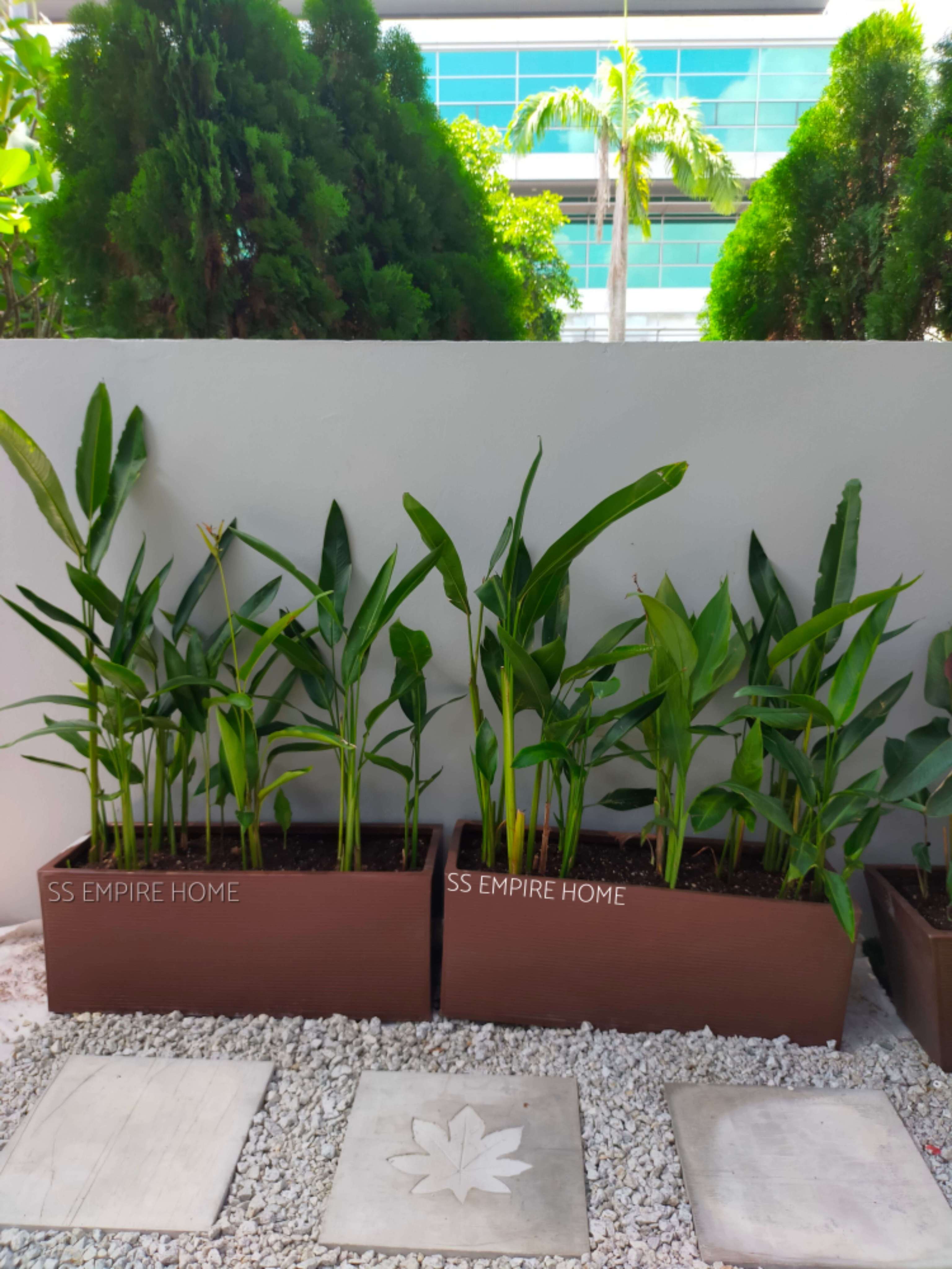 RICO Z2 Slant Line Planter box Fiberglass Flower Pot Pasu Bunga Garden ...