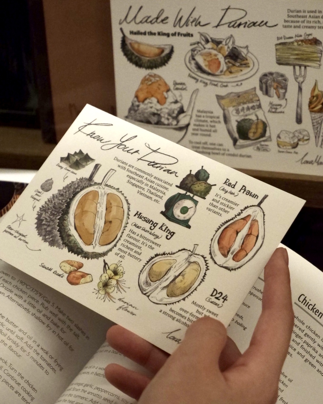 Loka Made Lokapedia Postcard | Shopee Malaysia