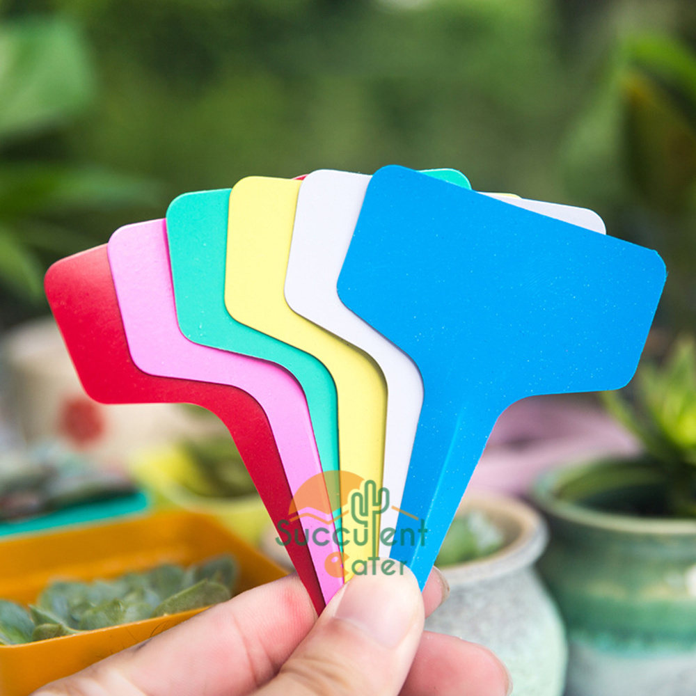 Plant Label Tag 6x10cm Garden Plant Flower Label Tag Nursery Thick T ...