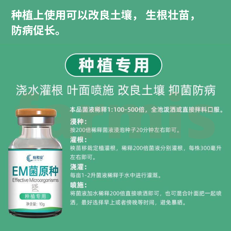 Em (Effective Microorganisms) Em Ibu Em Organik Mikroorganisma EM菌种原种 ...