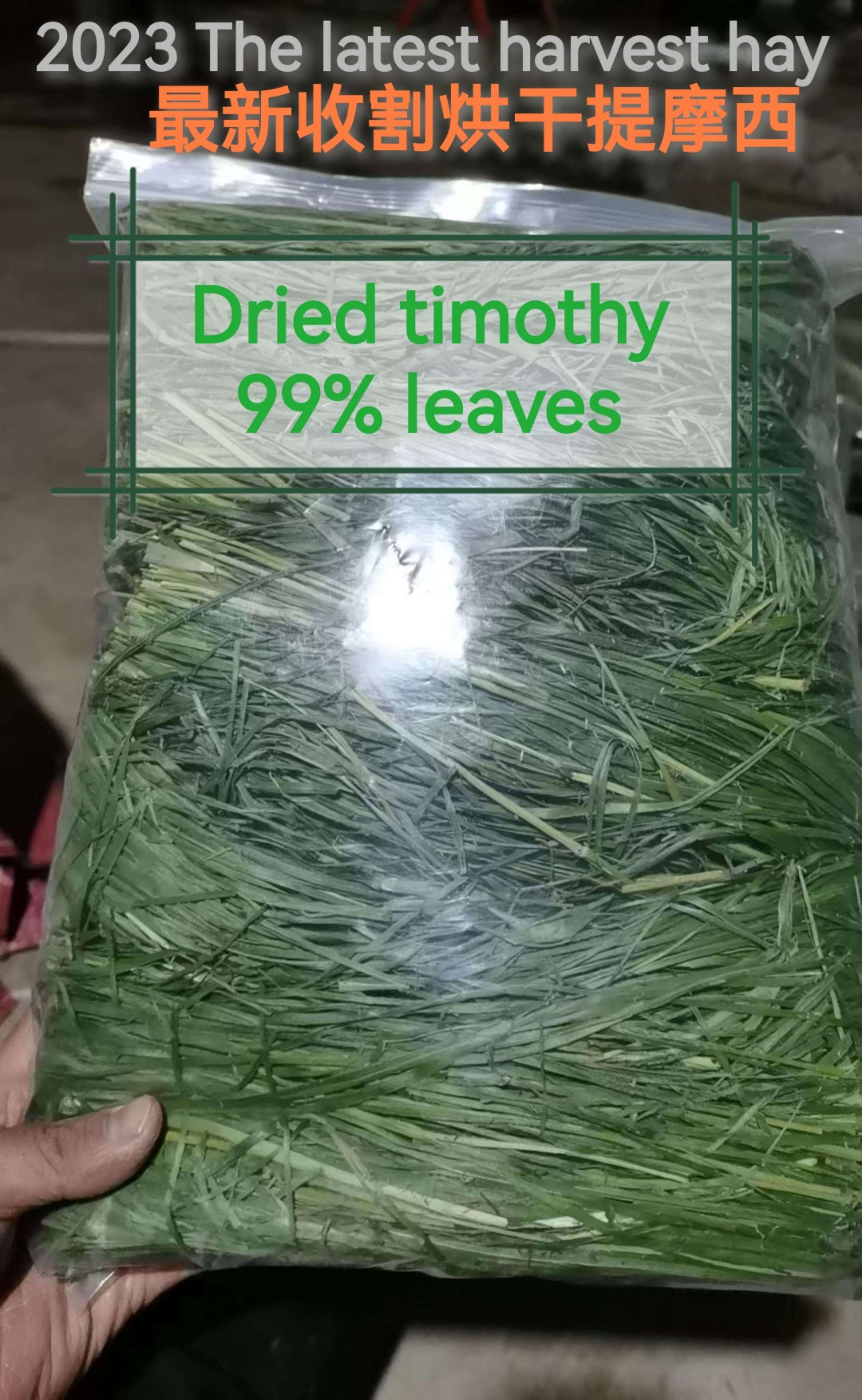 The Superb Grade of Dried timothy Hay 最高等级的烘干提摩西 | Shopee Malaysia