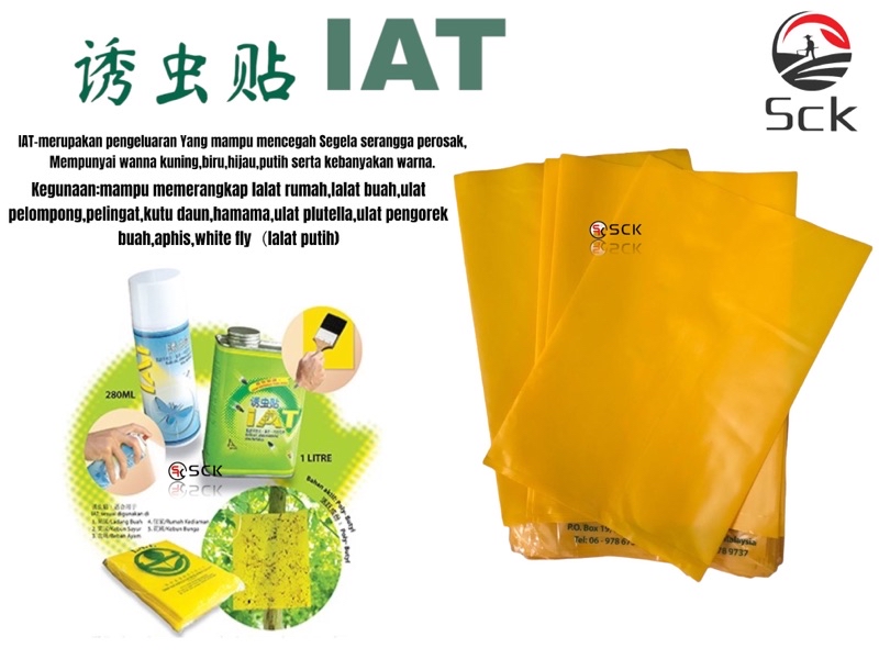 Paket 1kg IAT Chiap Hup Know You Plastik Polybag Kuning Tiada Gam ...