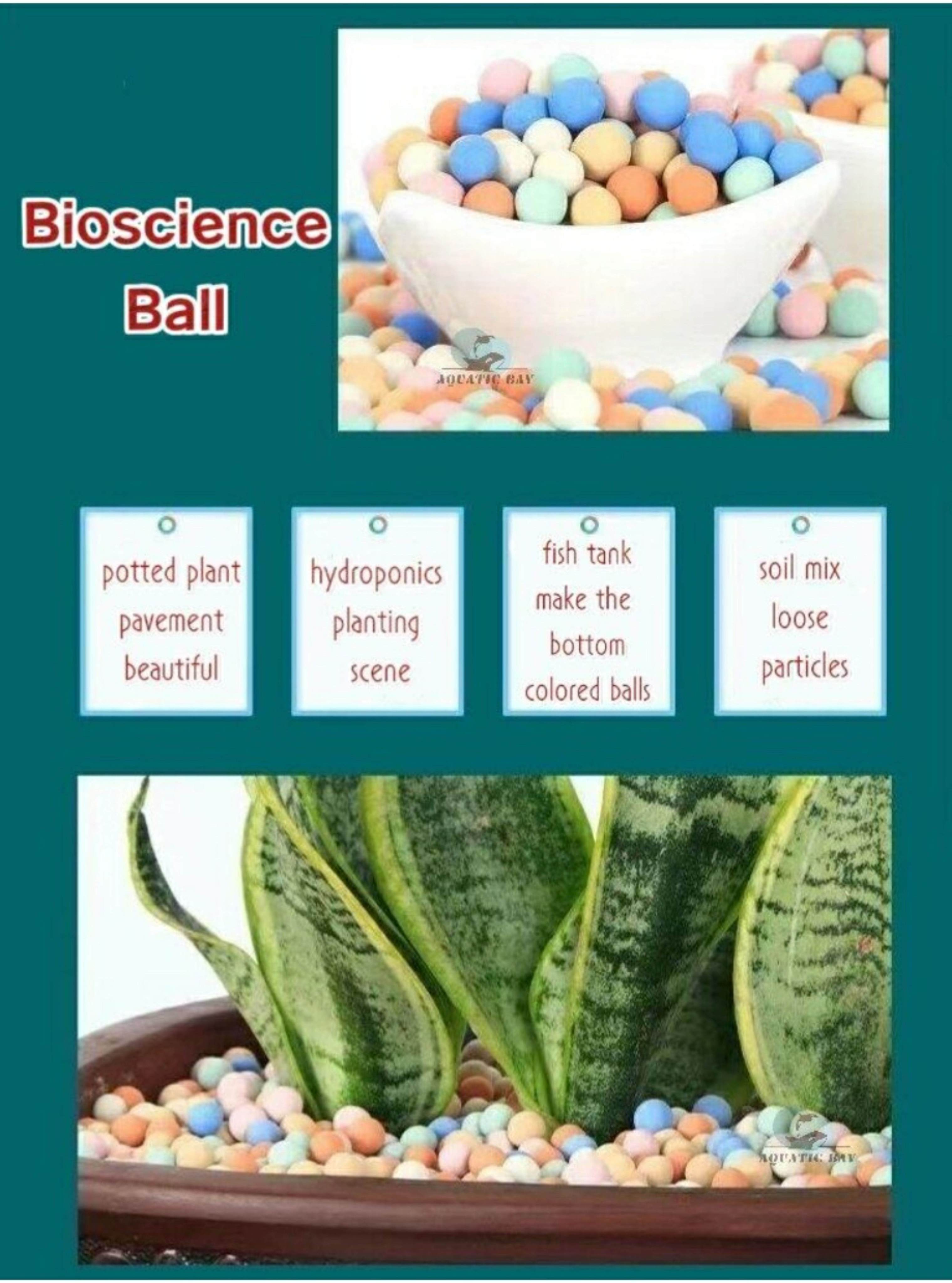 【Ready Stock】500G-5KG Aquarium Biosphere Hollow Ball Random Five Colour ...