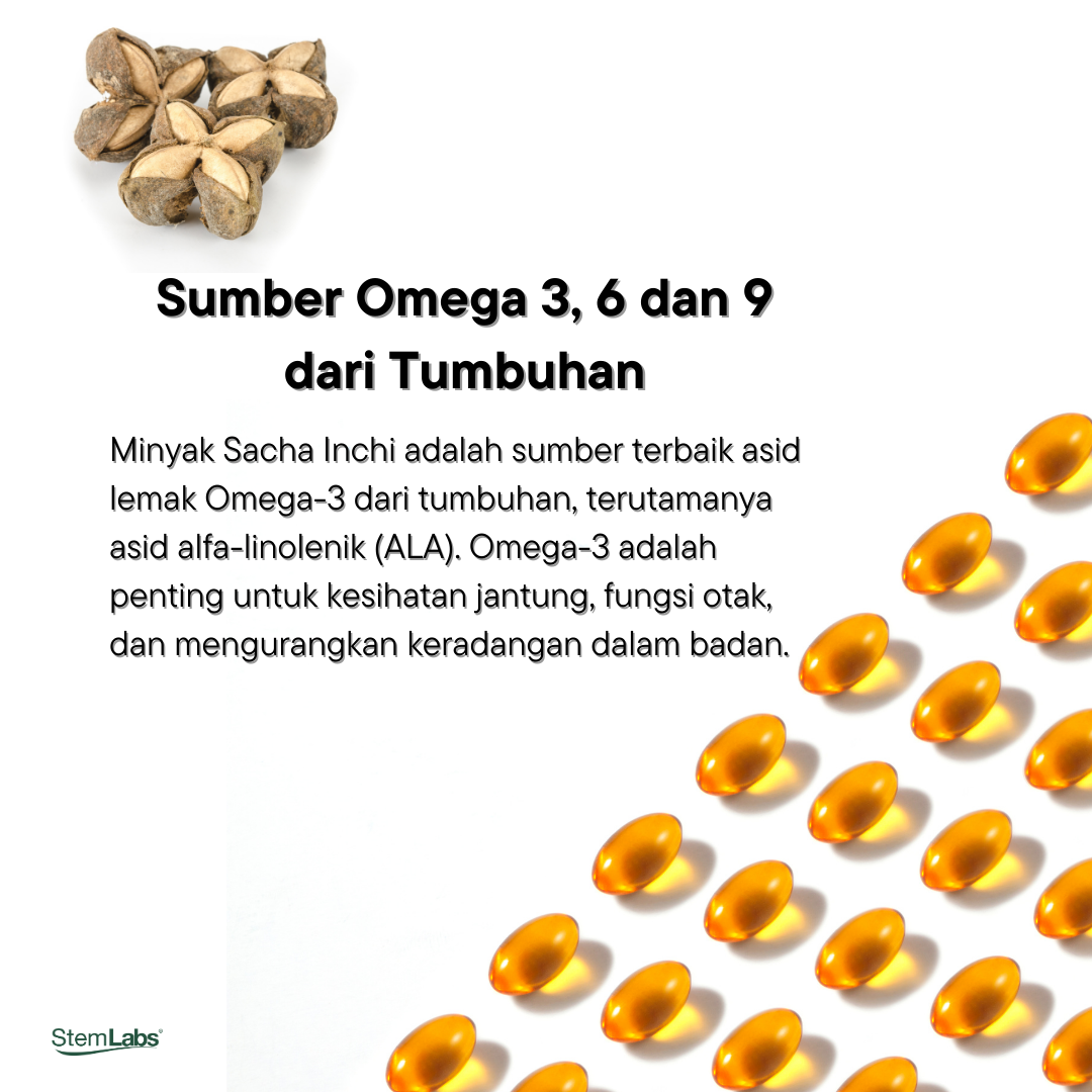 [JAKIM HALAL] StemLabs Sacha Inchi 500mg Combo Bundle | Shopee Malaysia