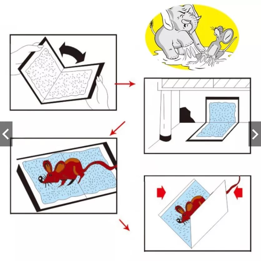 避鼠凝胶膏驱老鼠神器防鼠Anti mouse gel penghalau tikus Berkesan Rat Repellent Gel ...