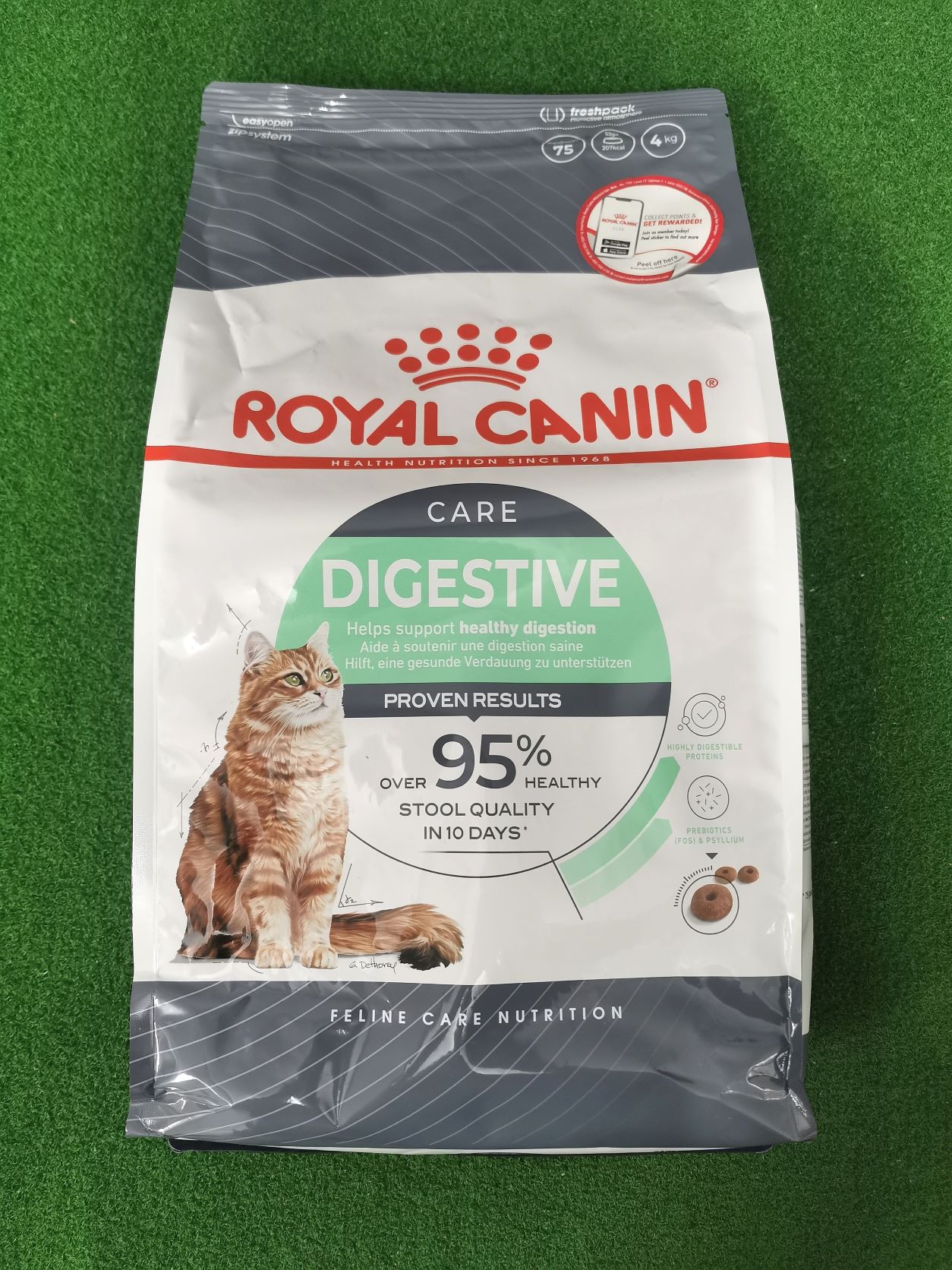 Royal Canin Digestive Care 4kg Cat Dry Food[100% ORIGINAL] Makanan ...