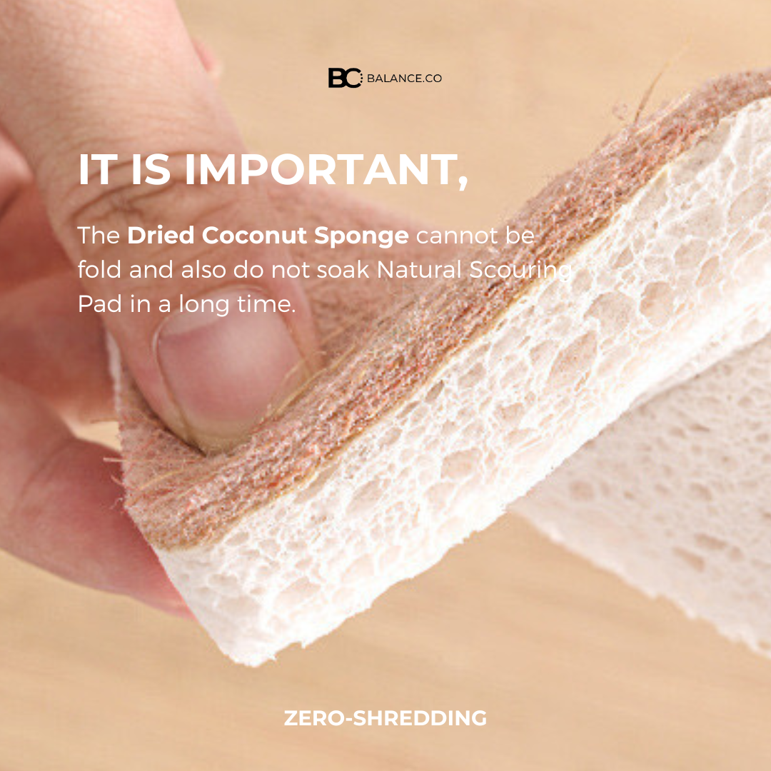 Balance.co Natural Cellulose Dishwashing Sponge [Coconut/Sisal Fiber ...