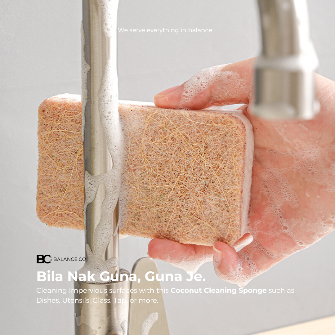 Balance.co Natural Cellulose Dishwashing Sponge [Coconut/Sisal Fiber ...