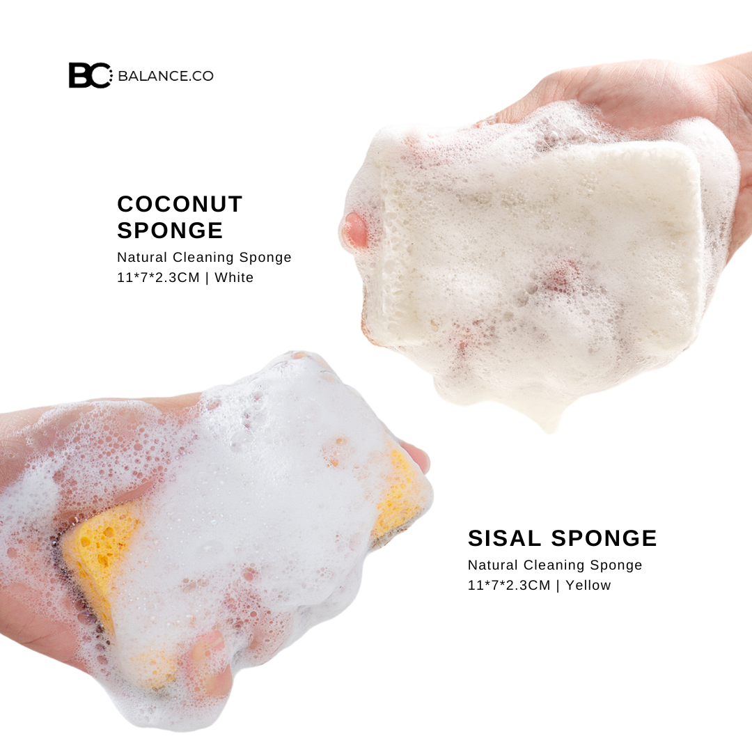 Balance.co Natural Cellulose Dishwashing Sponge [Coconut/Sisal Fiber ...