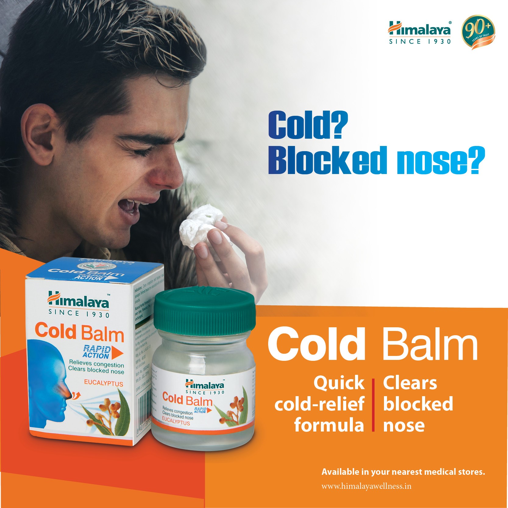 Himalaya Cold Balm (10g/45g) | Shopee Malaysia