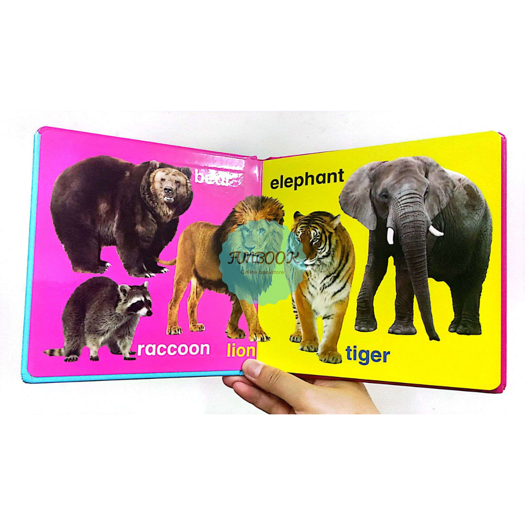 [FB] Let's Learn Alphabet Number Shapes colours animals Food fruits vegetables vehicles 100 ...