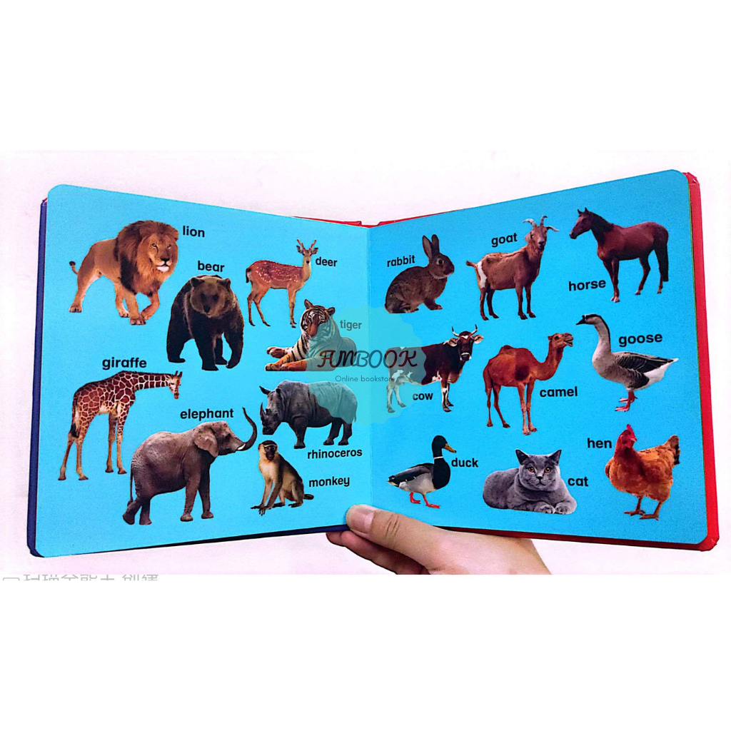 [FB] Let's Learn Alphabet Number Shapes colours animals Food fruits vegetables vehicles 100 ...