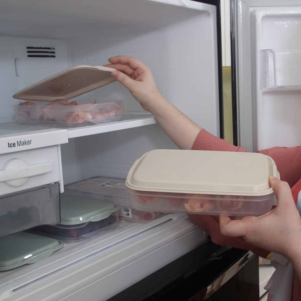 LocknLock Freezer Lock Food Container 1000ml (1 pcs) HFL8310M Microwave ...