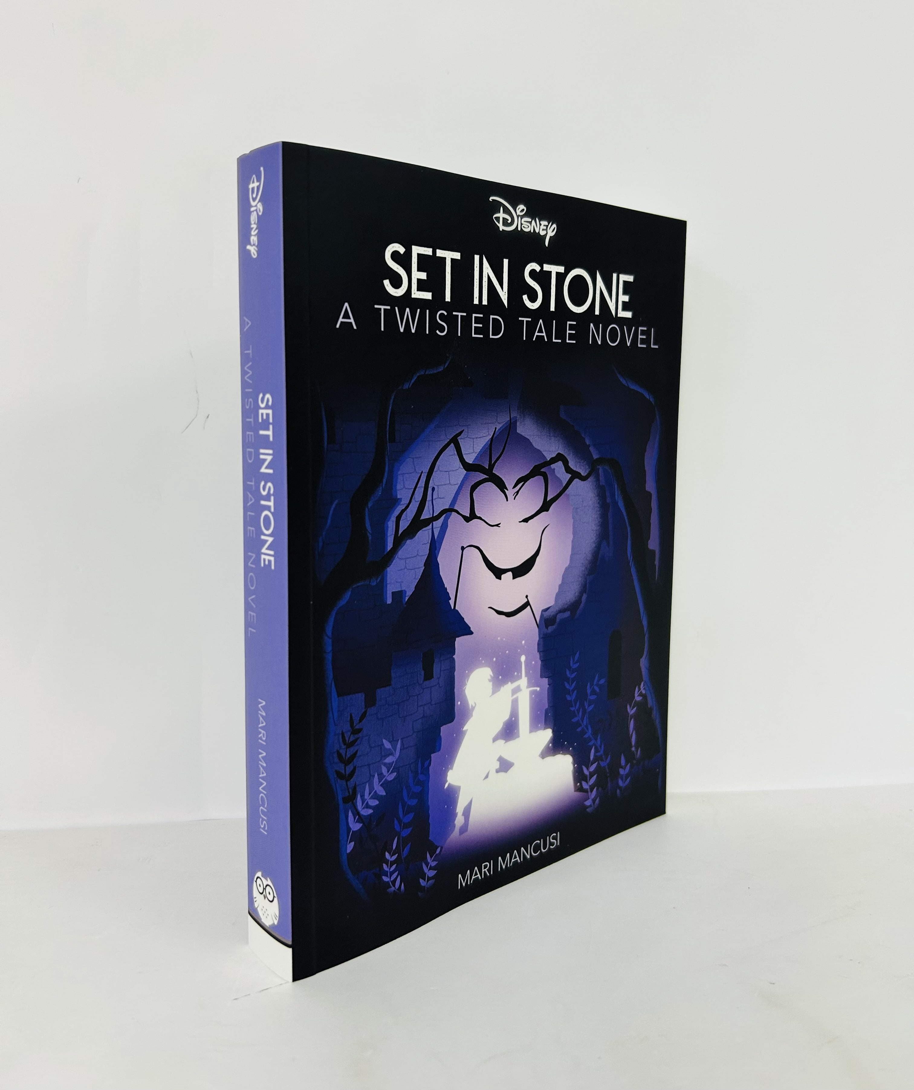 Disney Sword in the Stone Twisted Tale Set In Stone Novel (368 Pgs) By ...