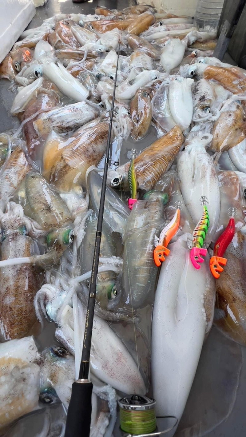 DEEP ODYSSEY #3.5 Green Eyes Squid Jig Killer Tip Run Eging Candat Sotong Mabang🔥‼️🦑 | Shopee ...