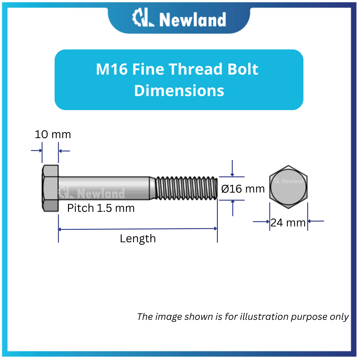 Newland M16 Fine Thread Bolt and Nuts / Plain Washer / Spring Washer ...
