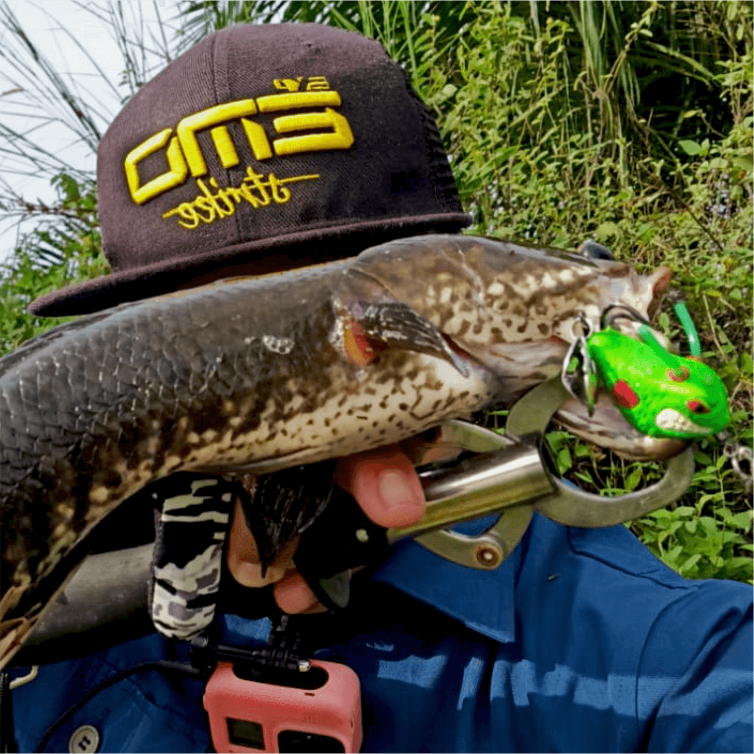 EXP MADBONE FROG EXP Soft Frog Murah Haruan Killer Katak Casting Umpan ...