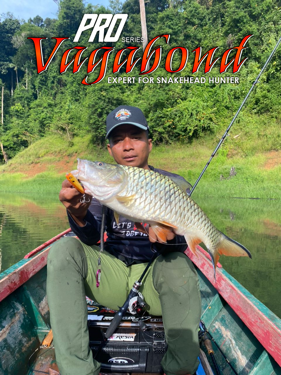 EXP VAGABOND ROD Carbon Fiber 2PCS & Butt Joint Fishing Rod Light ...