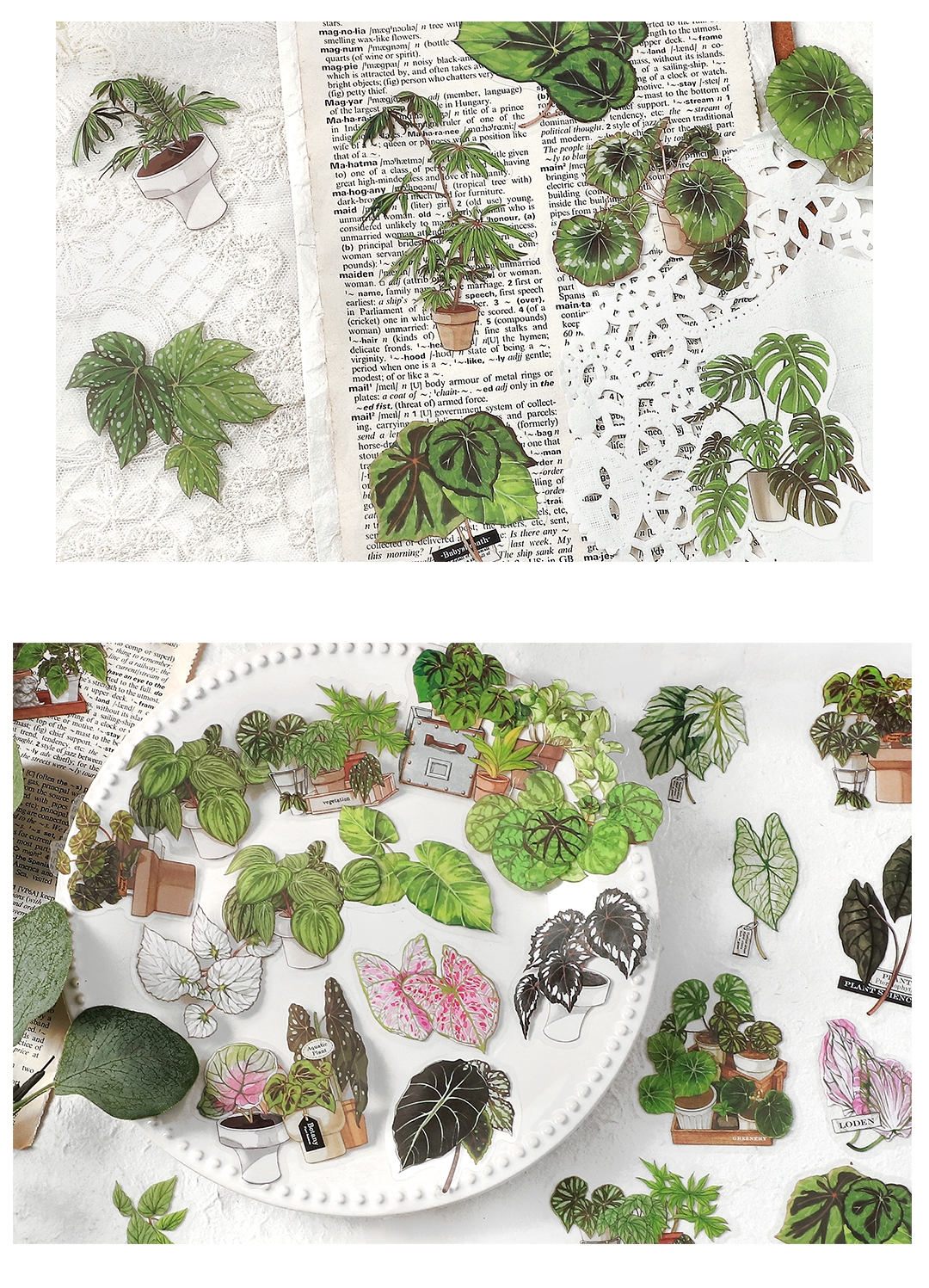IFM INS Green Plant Research Centre Series Deco Stickers Botanical ...