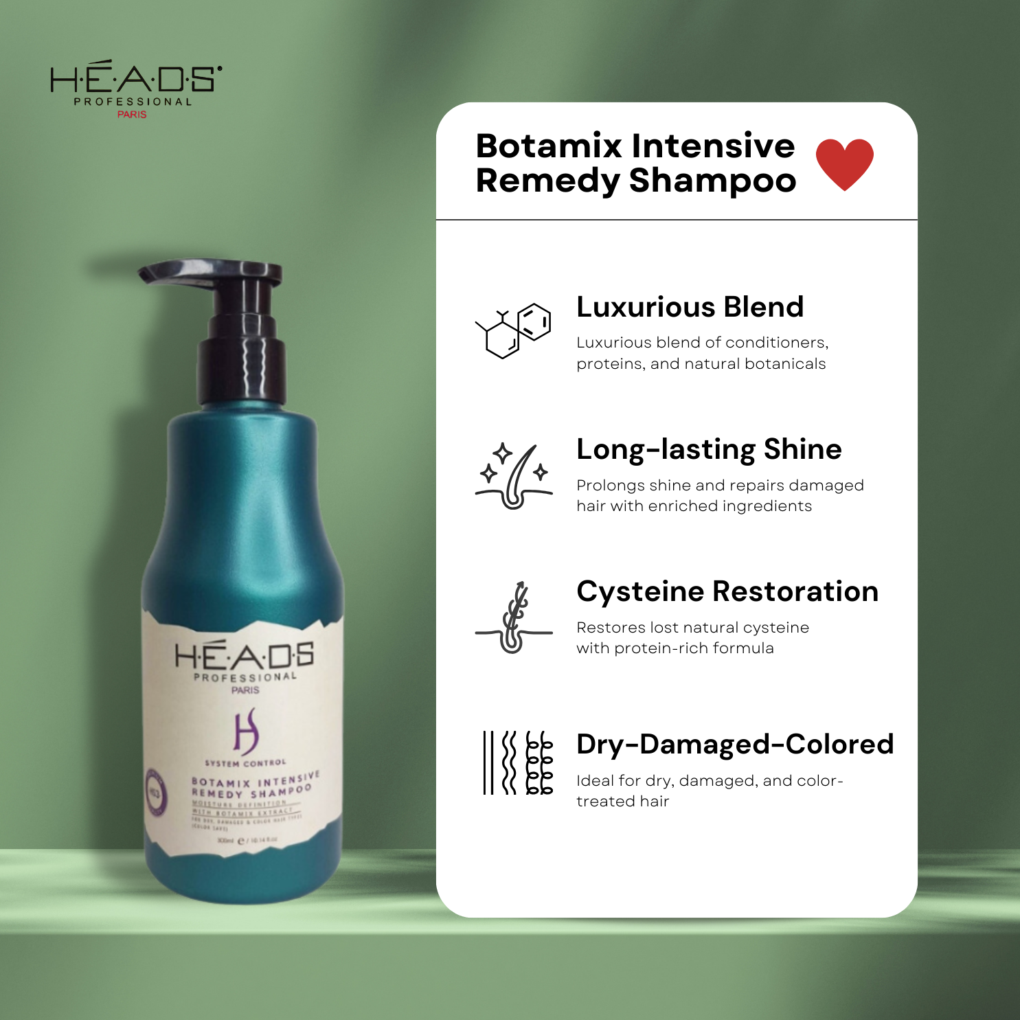 HEADS Botamix Shampoo Set for Hair Loss Dandruff Dry Repair Damage Oily ...
