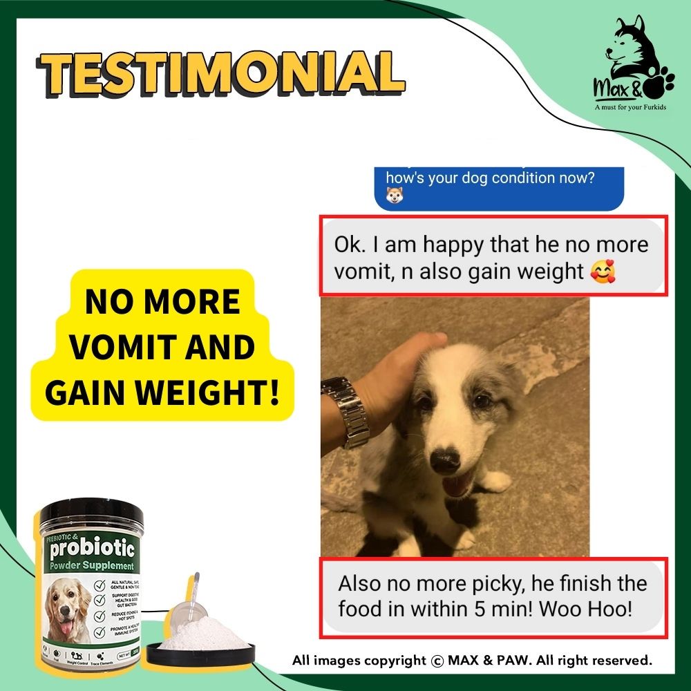 【OFFICIAL】Max & Paw Pet Supplement Dog Supplement Probiotic - All ...