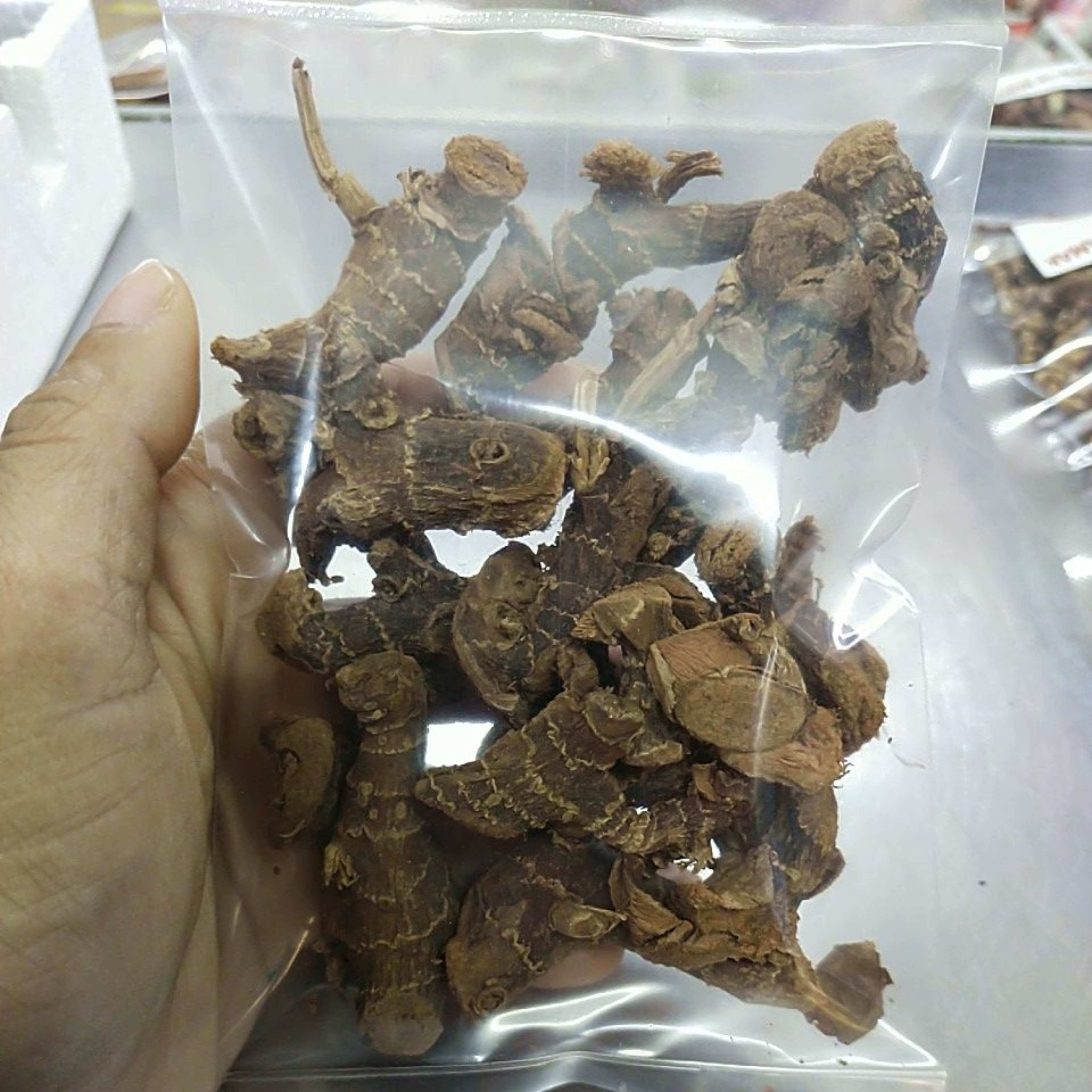 JERANGAU MERAH , LENGKUAS GENTING #galangal #sitharathai 50gram RM5 ...