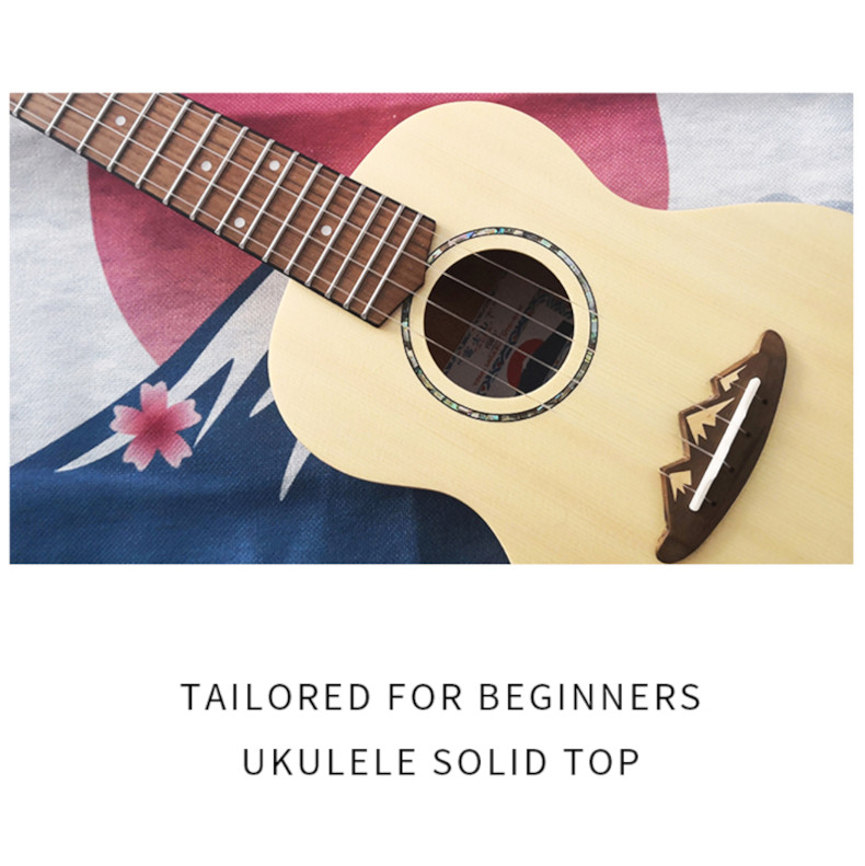 TODO Solid Spruce / Mahogany Top Concert / Tenor Ukulele with Mount ...