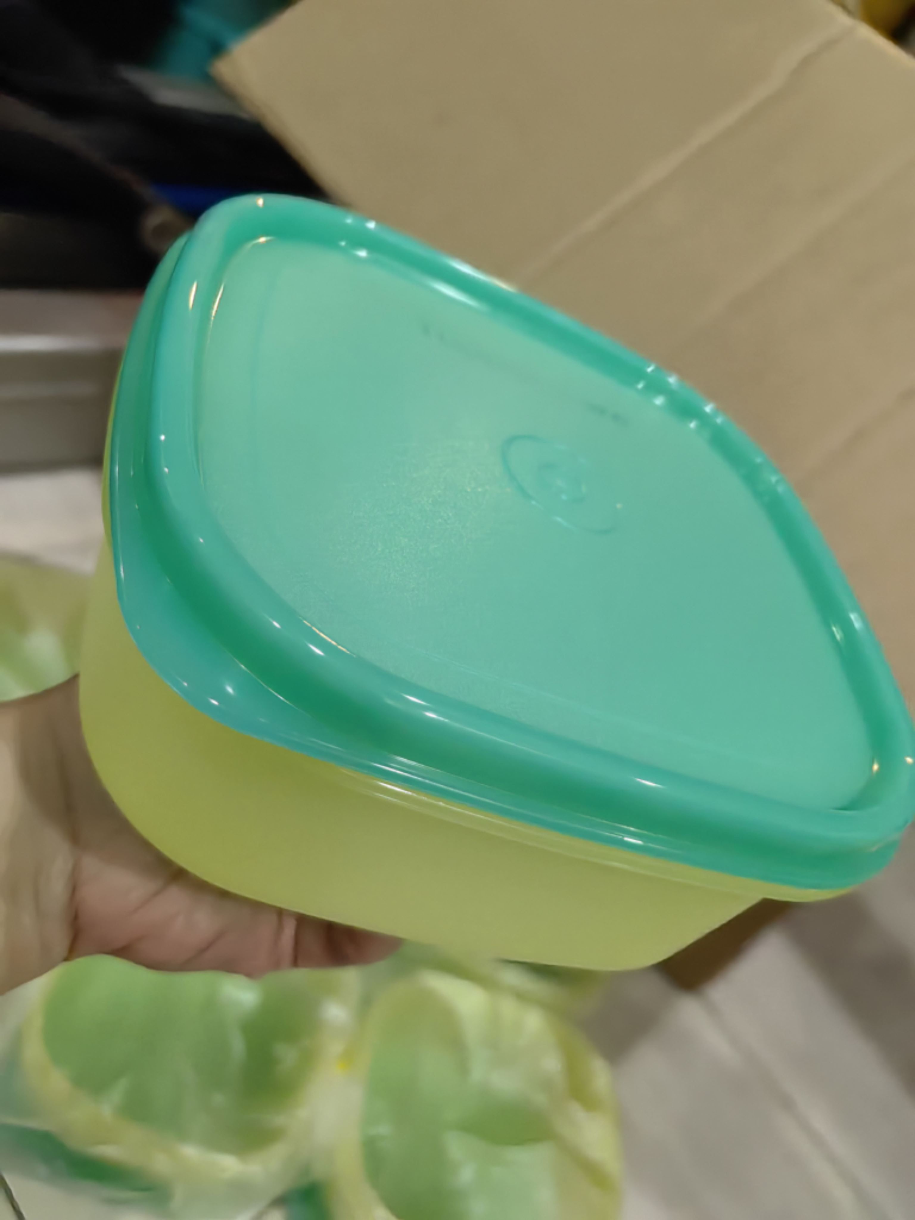 Tupperware Ezy Pack 650ml / Candy Pop Oval Keeper 450ml (Lunch Box Oval ...
