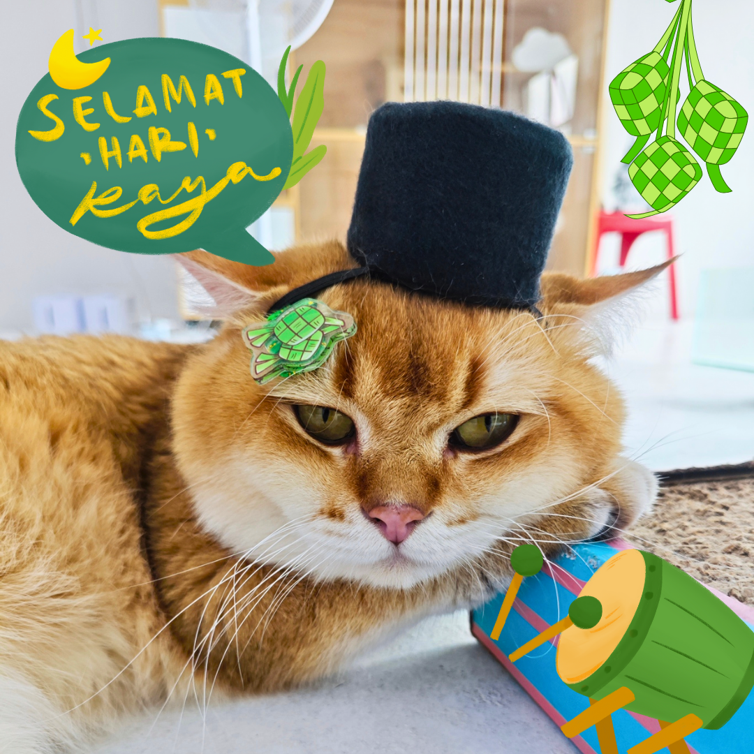 [ PREMIUM ] Baju Raya Melayu Kucing Songkok Baju Kurung Baju Melayu ...