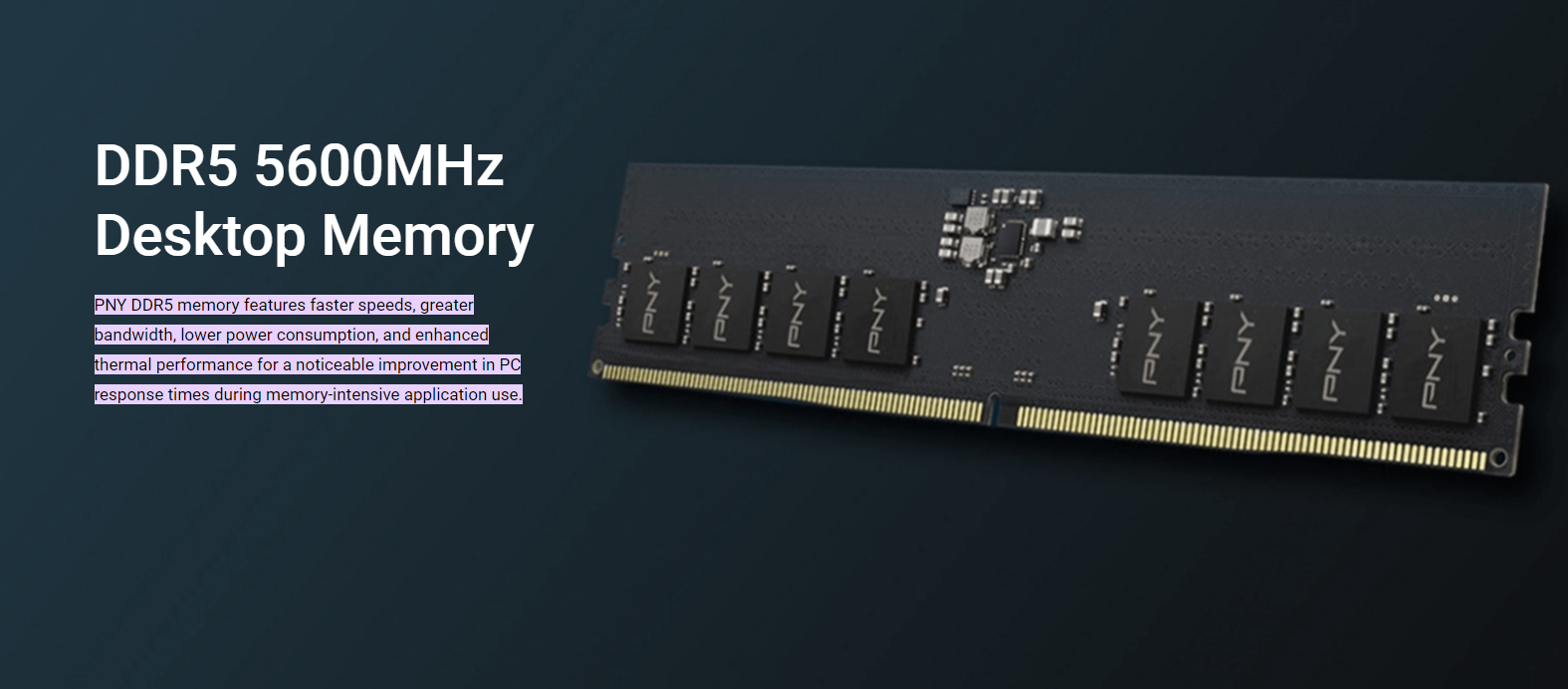PNY DDR5 16GB 8GB 5600MHZ PNY D5 16GB 8GB 5600MHZ 4800MHZ PC Desktop ...