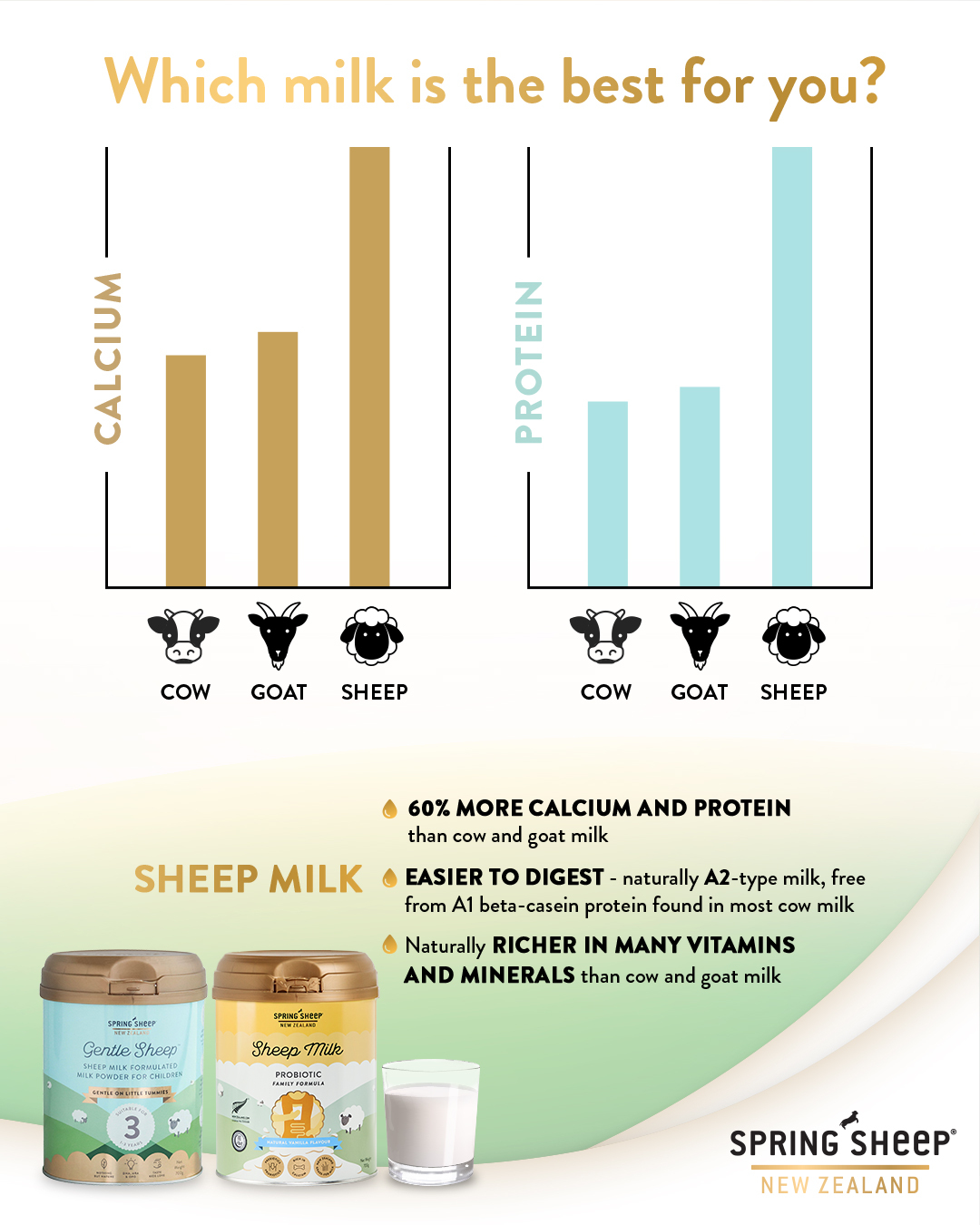 Spring Sheep Gentle Sheep Formula Milk / Infant Formula / Toddler ...