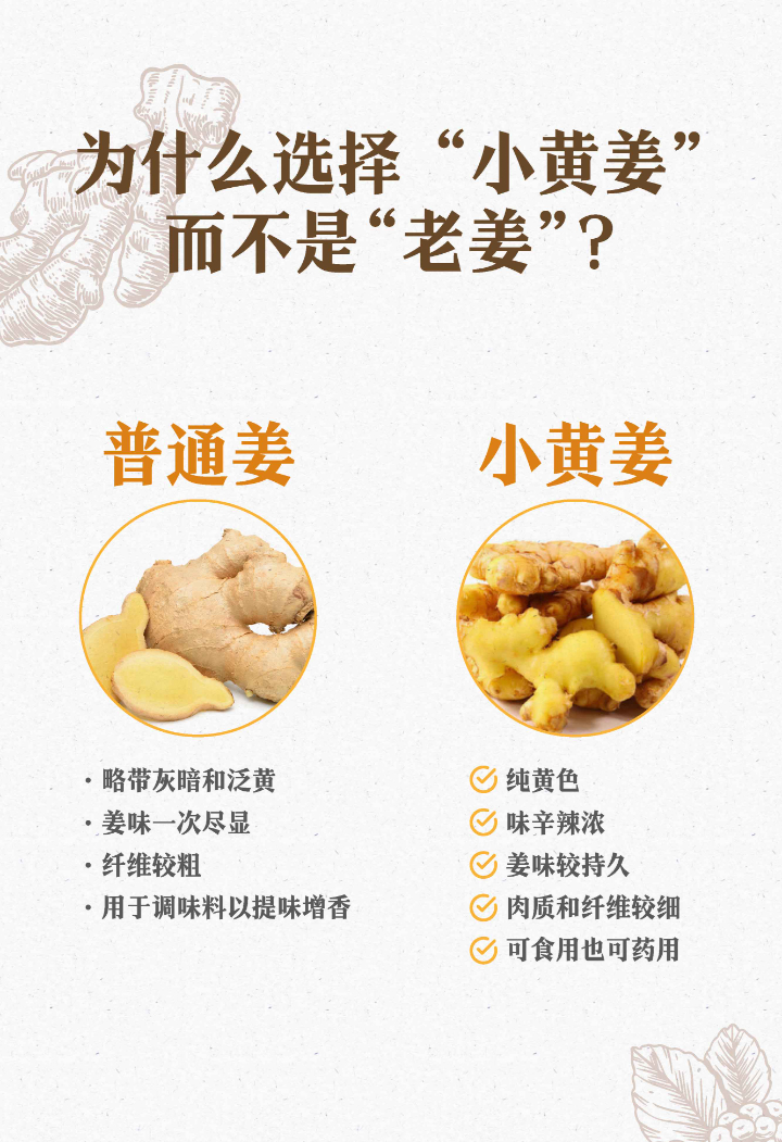 Molasses Ginger Tea With Red Ginseng 高丽参黑糖姜茶 | Shopee Malaysia