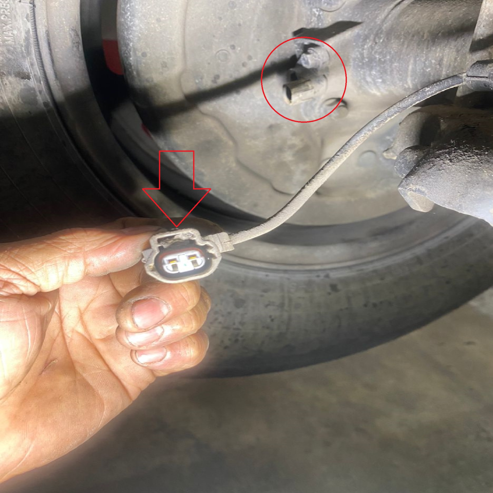Toyota Hilux Rear ABS Sensor Socket Connector 2 Pin | Shopee Malaysia