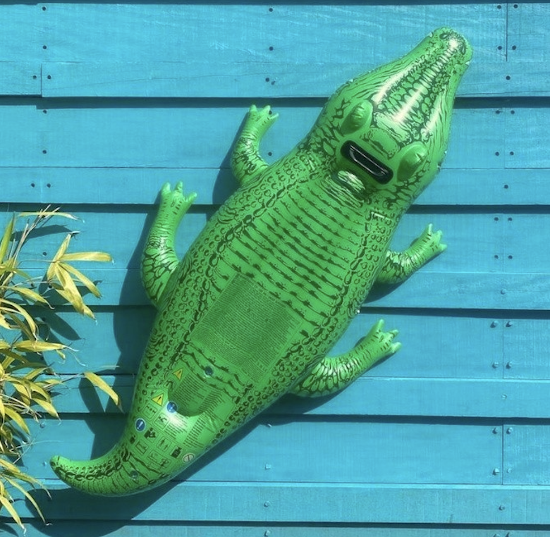 INTEX 58546 Inflatable Crocodile Float Swimming Pool Swimming Ring ...