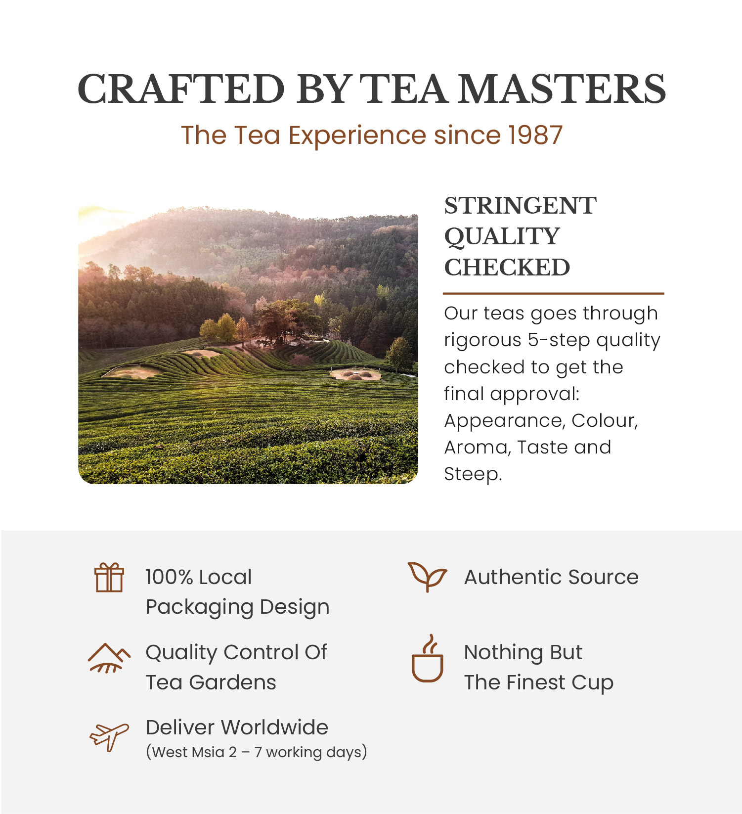 Purple Cane Yun Shu Wang Green Puer Tea Year 2023 Mengku (10g) 紫藤 云树王 普洱青饼 2023年 勐库（10克 ...