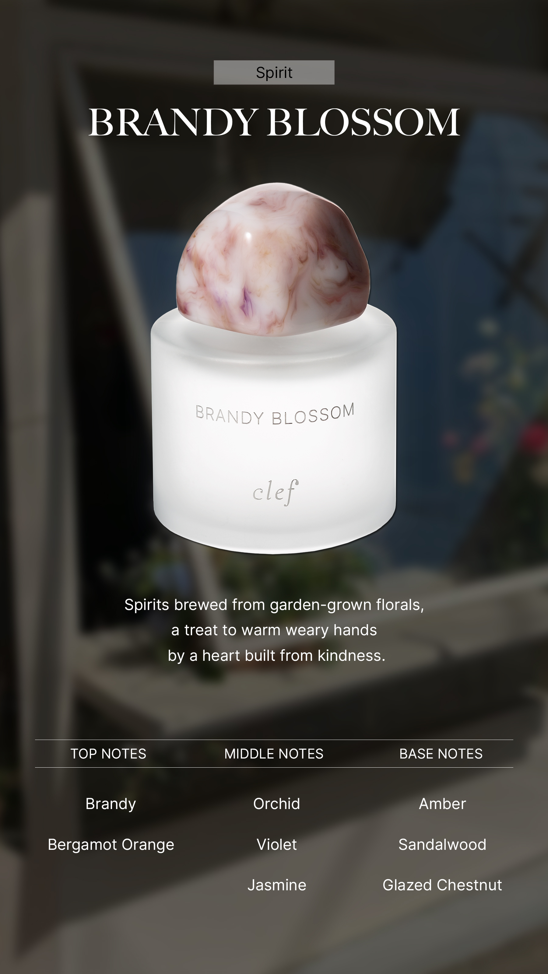 [EASY CARRY] CLEF Little Delights | Mini Fragrance | Long Lasting ...