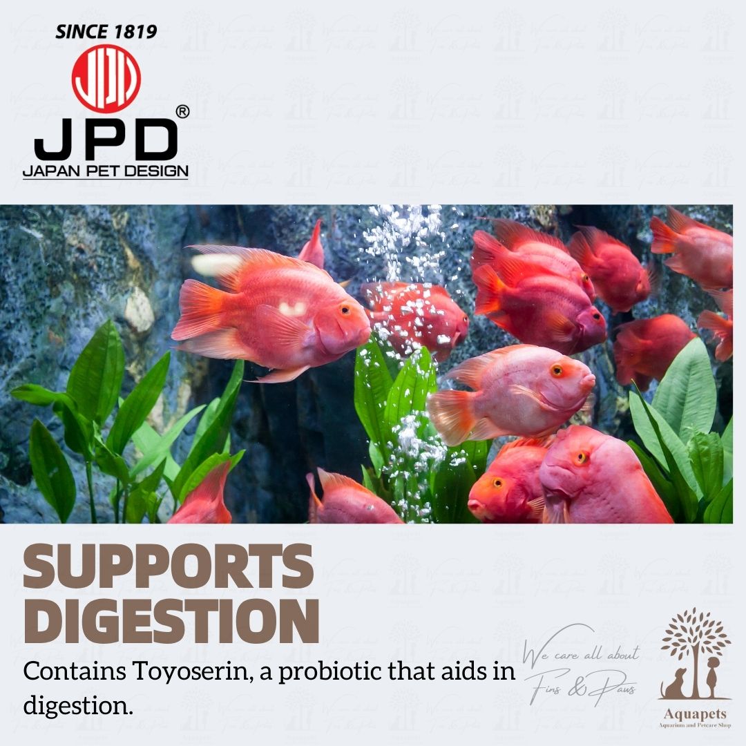 JPD Kangun Parrot Fish Food 100g / 500g Makanan Ikan Parrot Fish Red ...