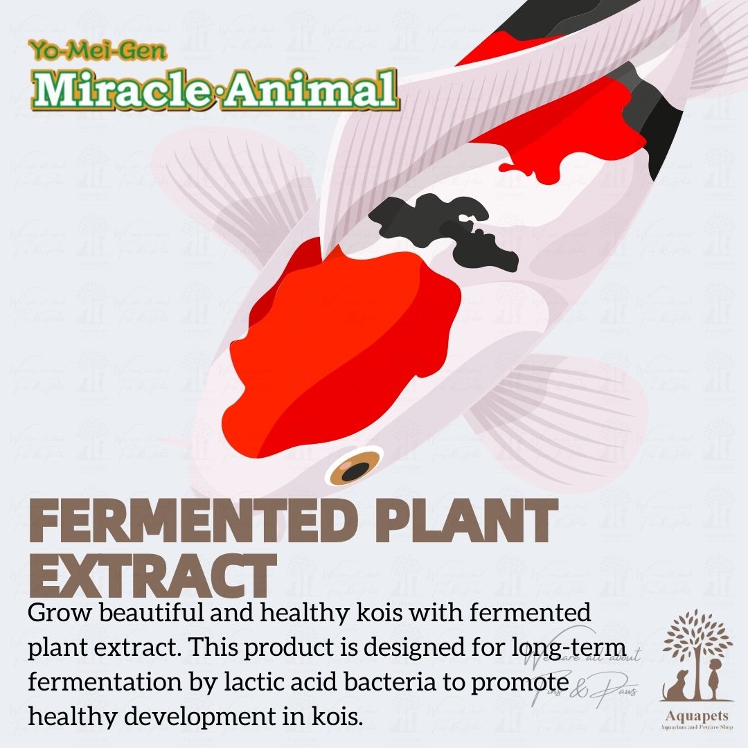 Yo-Mei-Gen Miracle Animal Lactic Acid Bacteria - 1L Koi Supplements ...