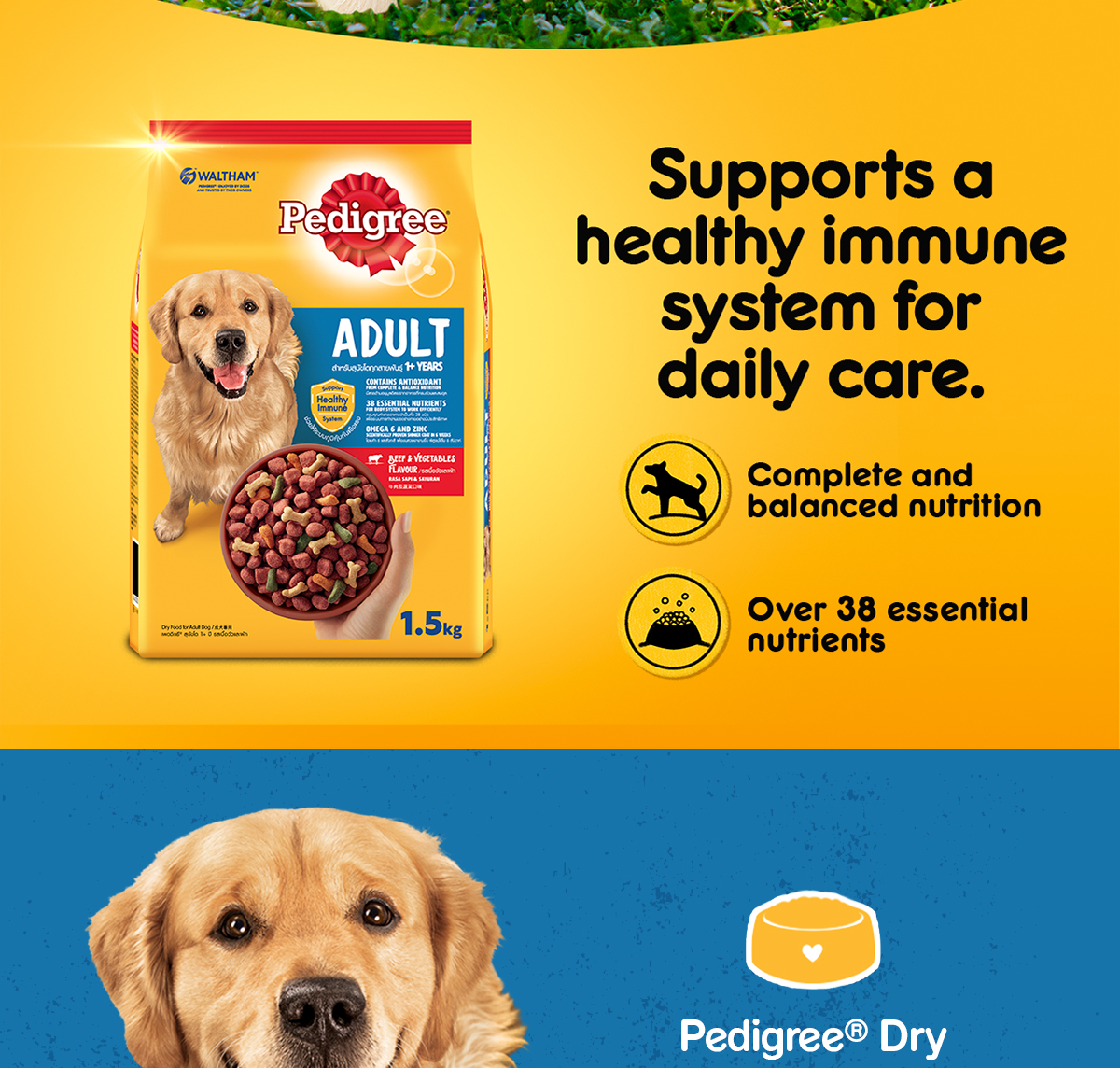 PEDIGREE Dog Dry Food in Beef And Vegetable Flavor 3kg | Shopee Malaysia