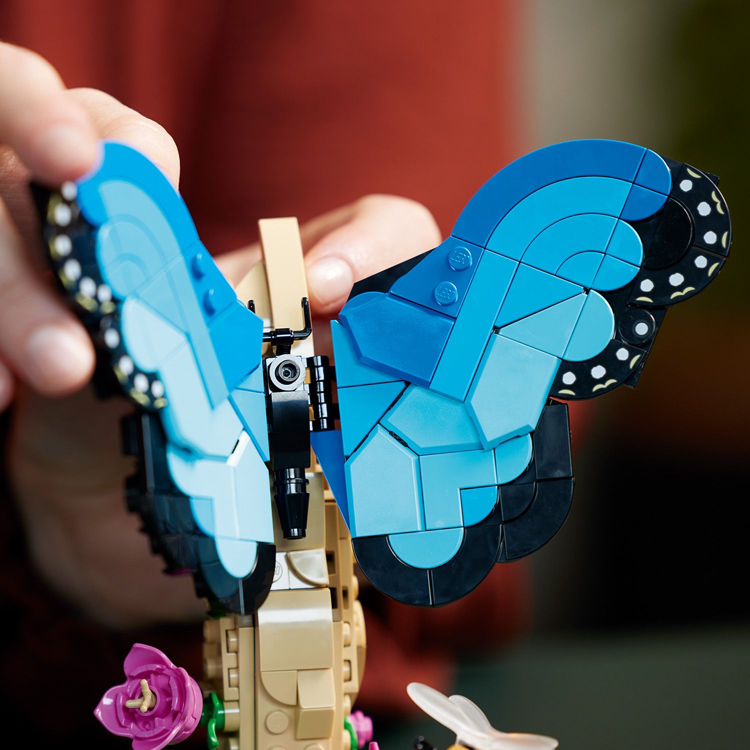 [BricksInBoots] LEGO Ideas The Insect Collection ( 21342)(1,111 Pieces ...