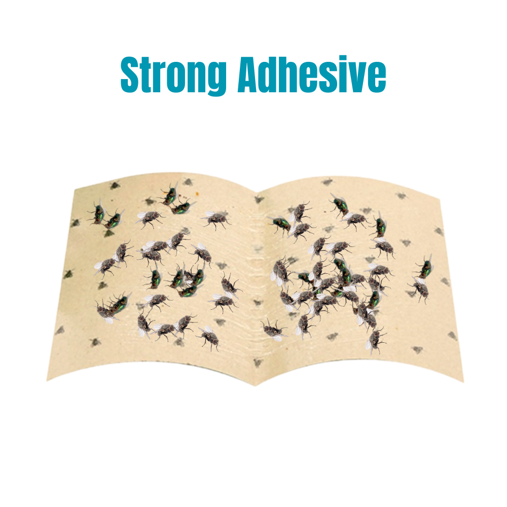 Fly Glue Trap Strong Adhesive Pest Control Gam Pelekat Perangkap Bye ...