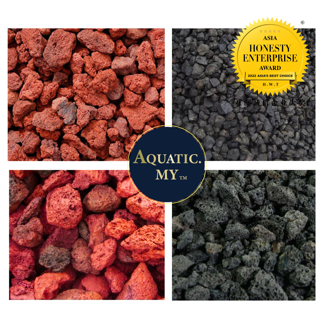 Aquarium Lava Rock Filter Media Red Lava Rock/ Black Lava Rock ...