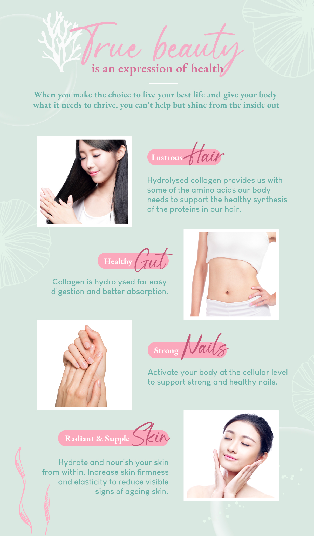 Signature Market Vital Spark Marine Colla-Plus (Collagen Powder, Skin ...