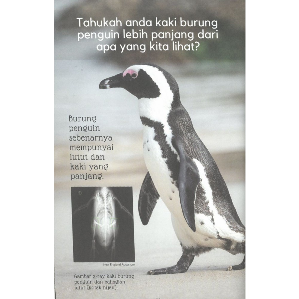 [FUNBOOK] Buku Teroka Sains 1 2 3 4 5 6 7 (Beli Set Free 1 Note Book) | Shopee Malaysia