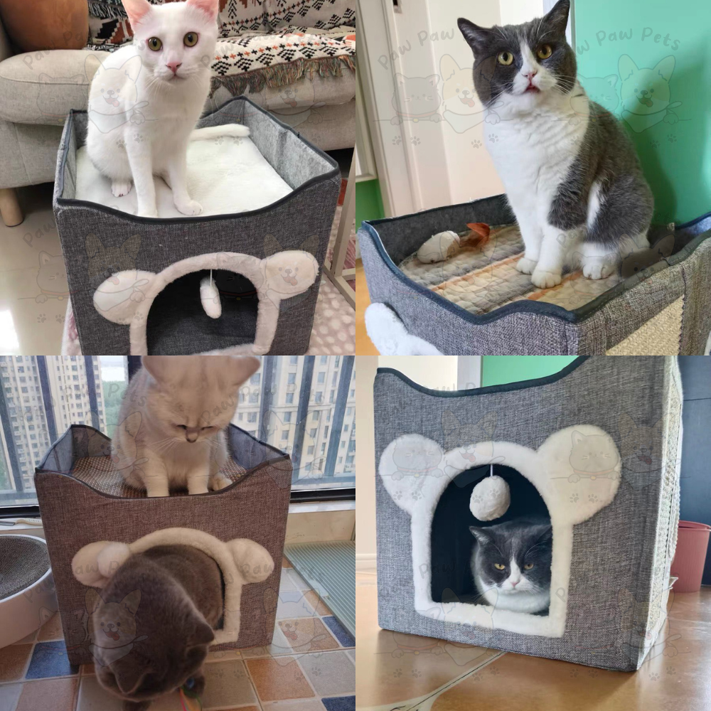 Cozy Cat House Bed Cubicle Design with Cat Teaser Toy | Tempat Tidur ...